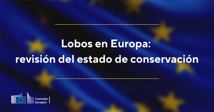 Lobos en Europa: la Comisión insta a las autoridades locales a que ...