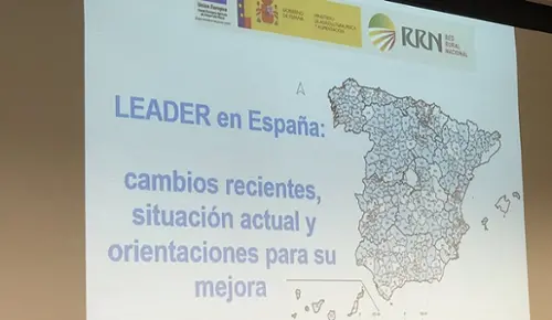 LEADER en España: 30 ideas clave y 19 propuestas para su implementación ...