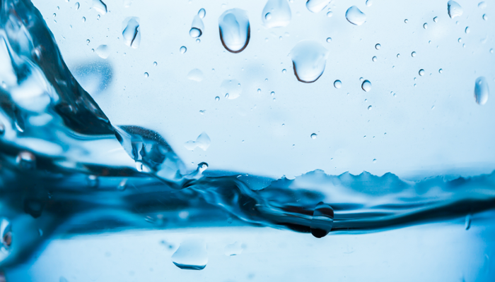 REDR | Red Española de Desarrollo Rural - REDR