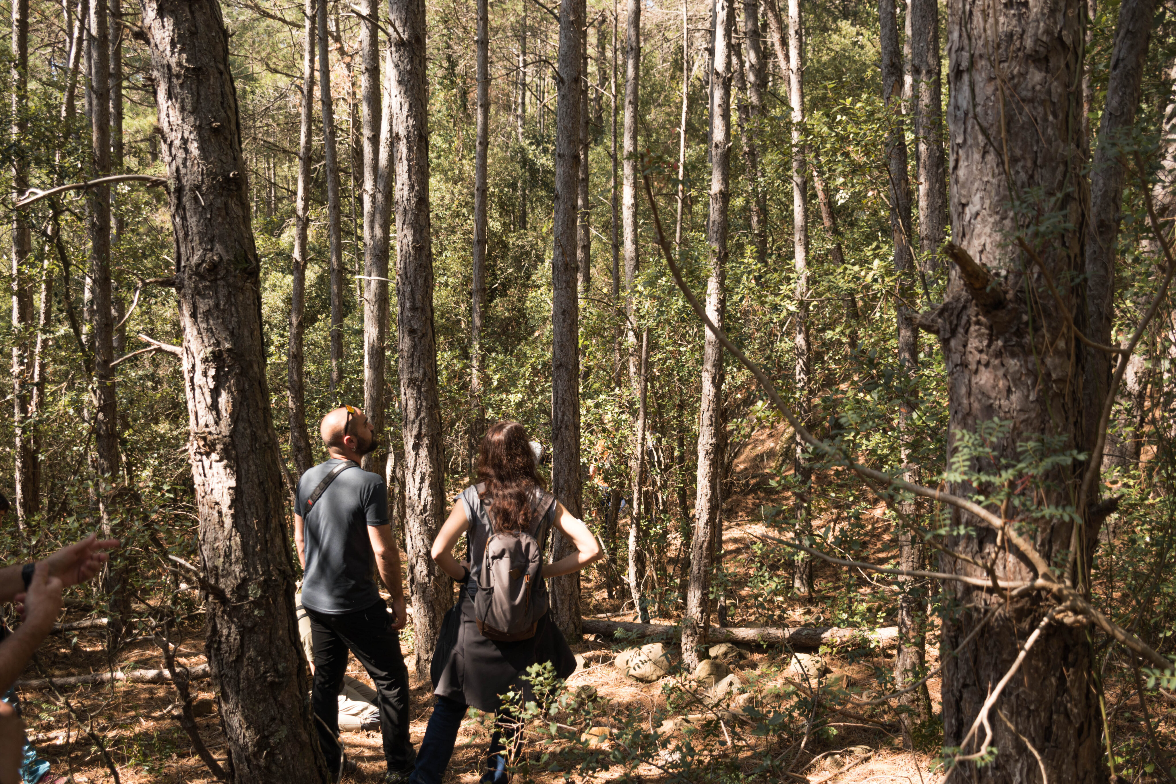 Los acuerdos de custodia del territorio aumentan un 49% hasta alcanzar ...